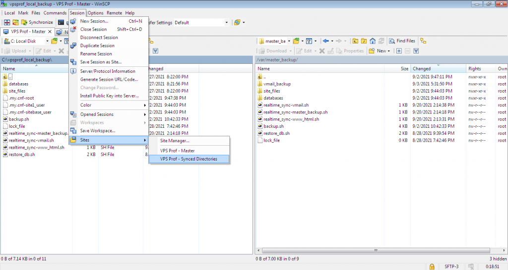 Sync Local Computer with Ubuntu via WinSCP - Keep a Backup on PC