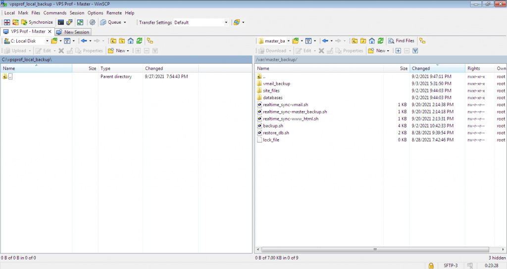 Sync Local Computer with Ubuntu via WinSCP - Keep a Backup on PC