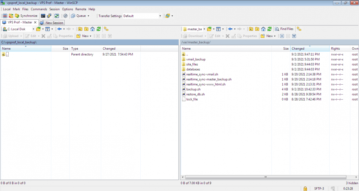 Sync Local Computer with Ubuntu via WinSCP - Keep a Backup on PC